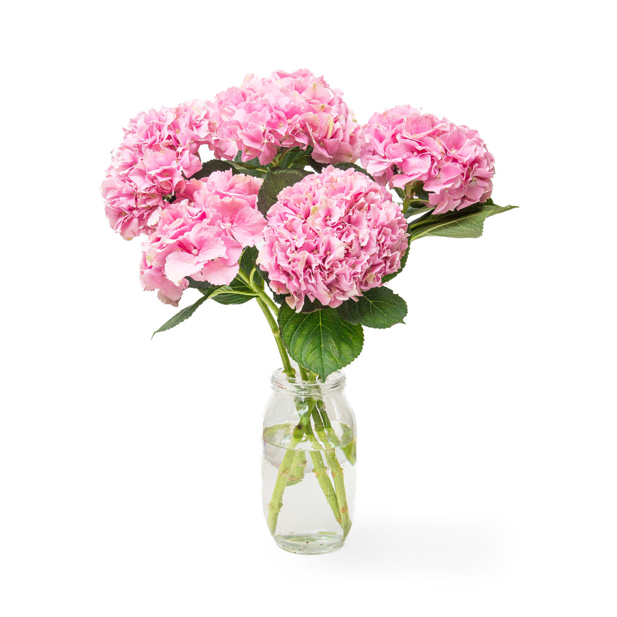 Hydrangea Force -Pink 5 stems – Flory