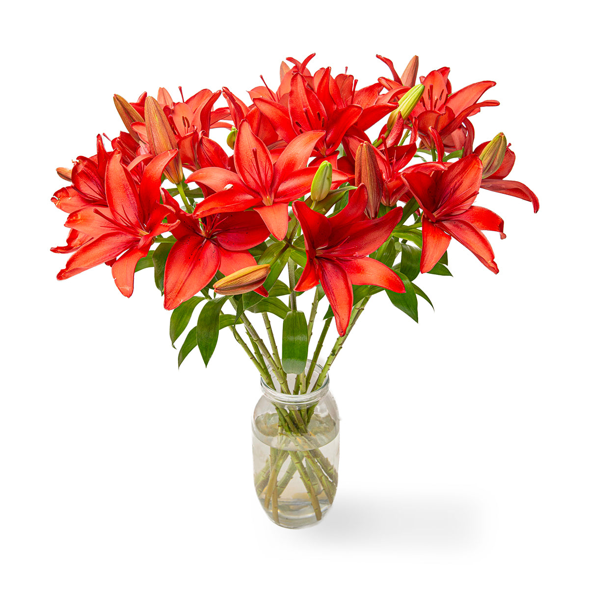 Lilies, Asiatic, Corleone Red, Dutch, 10 stems – Flory