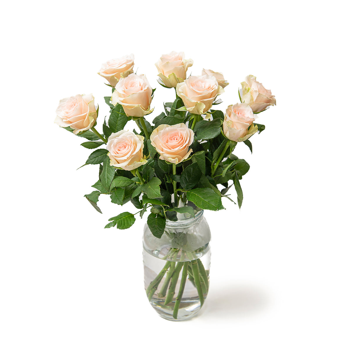 Roses, Veronica, 10 Stems – Flory